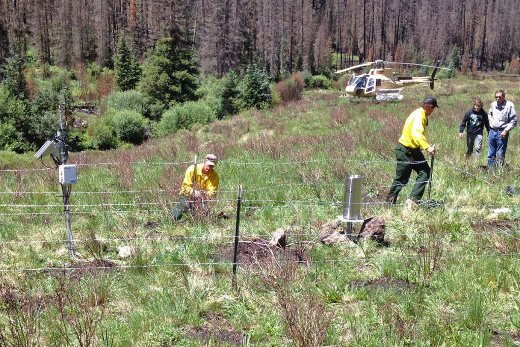 Stream Restoration - Birch Ecology