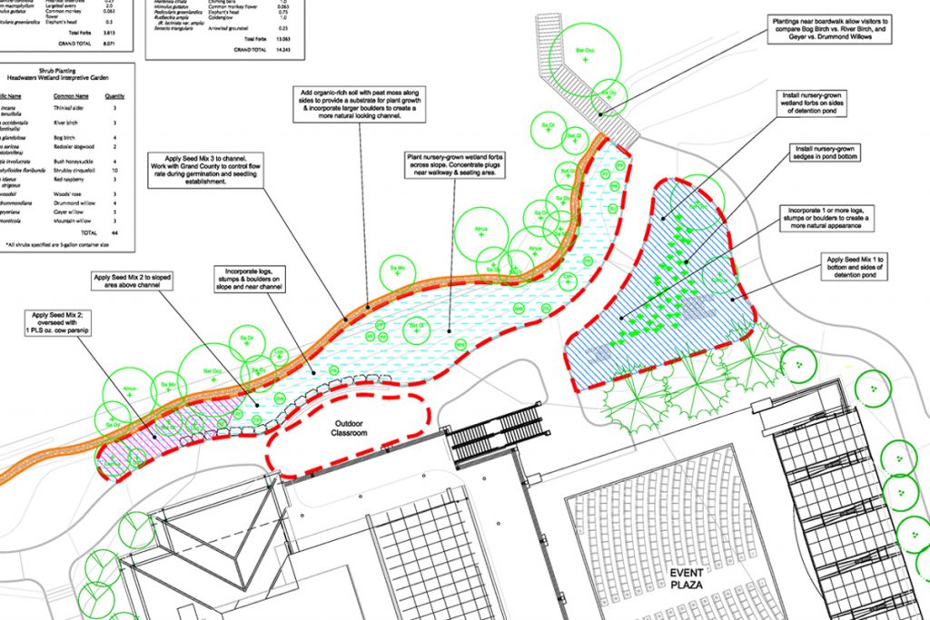 Wetland Ecology - Birch Ecology