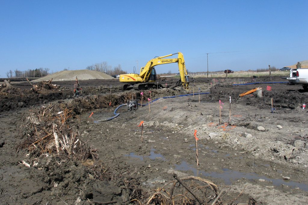 Stream Restoration - Birch Ecology