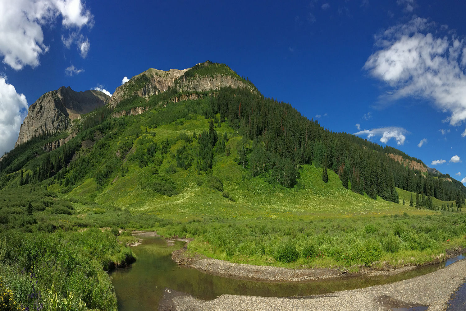 Homepage - Birch Ecology