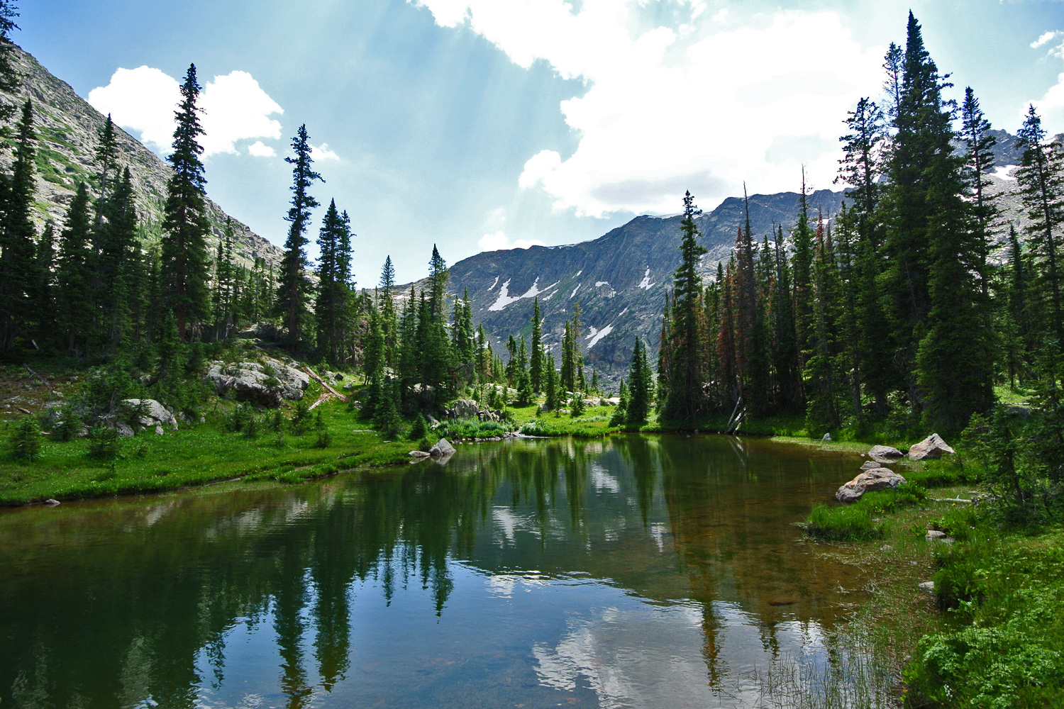 About - Birch Ecology