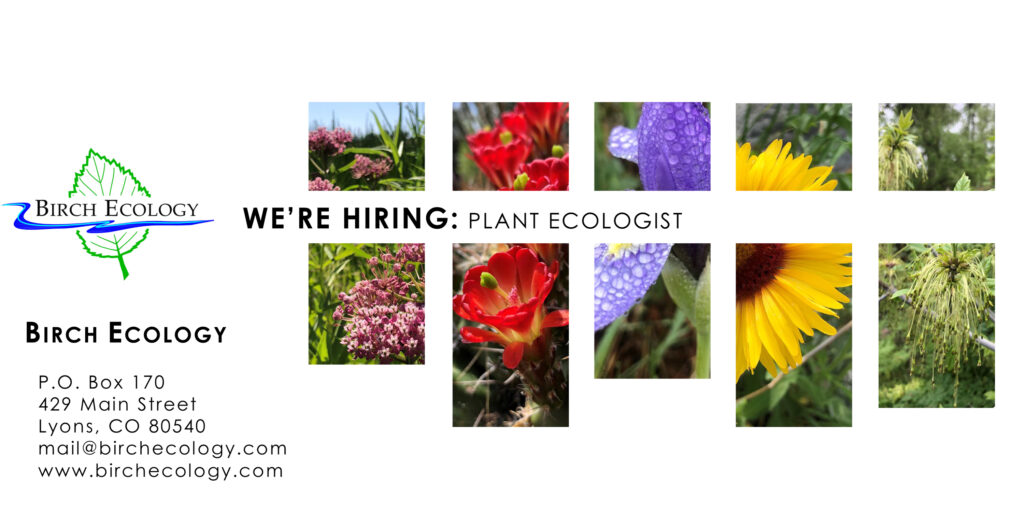 WE'RE HIRING: PLANT ECOLOGIST - Birch Ecology